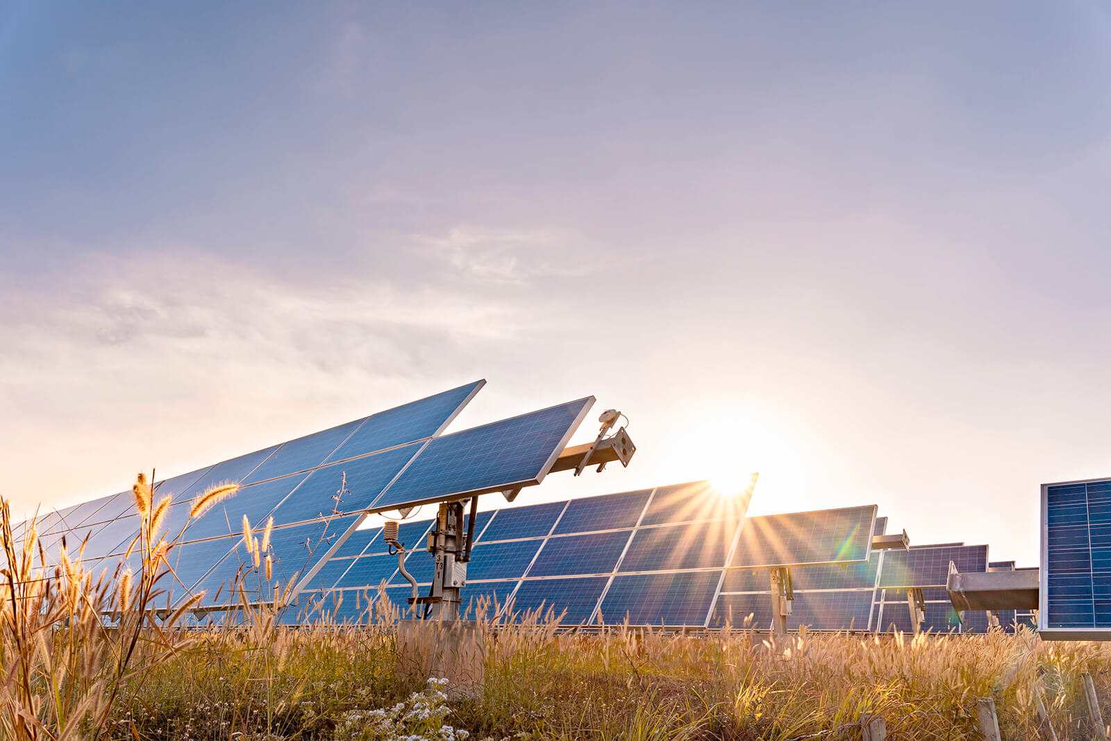 Impianto Agrivoltaico » Daem Solar Group
